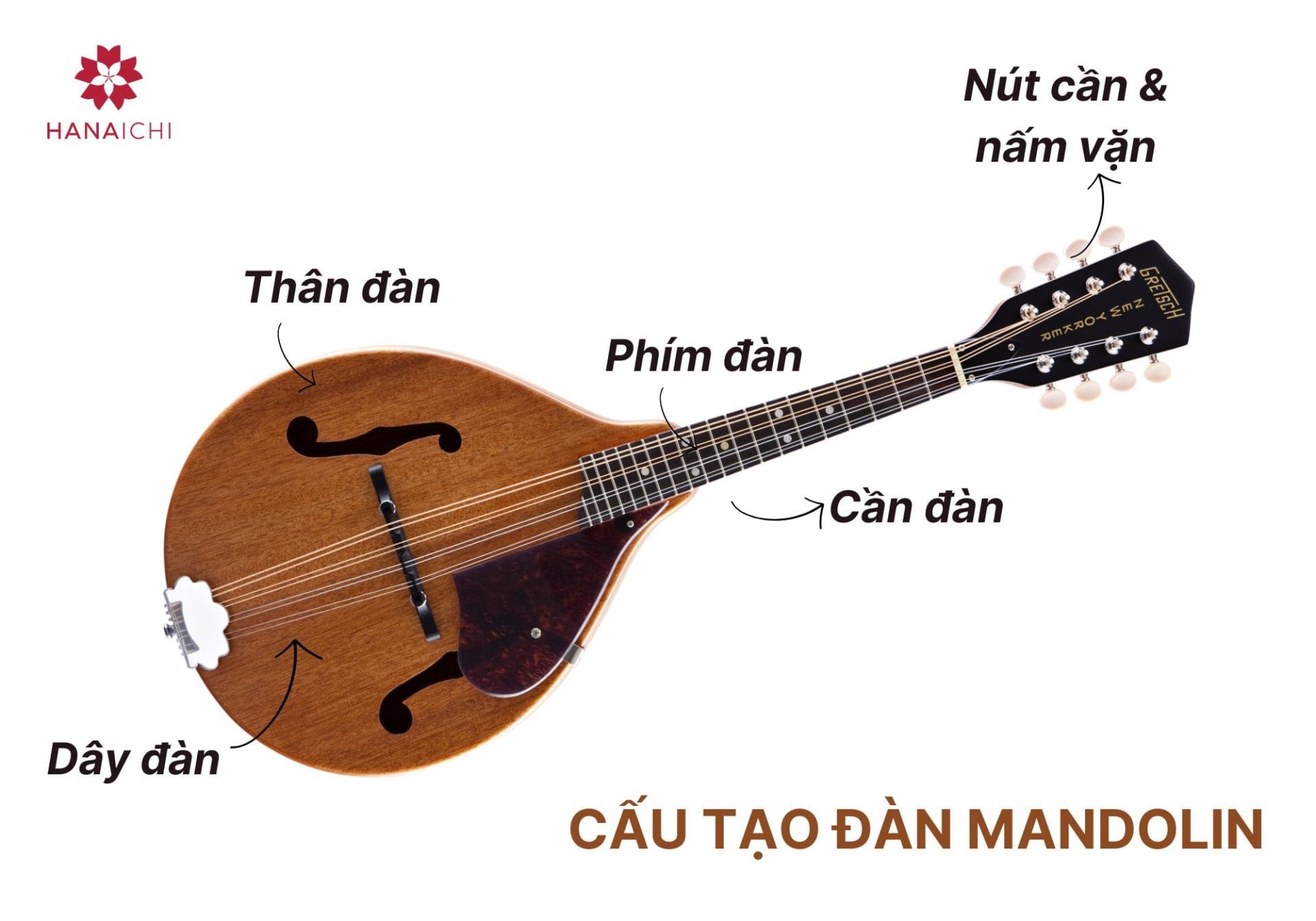 Đàn Mandolin và những điều cần biết