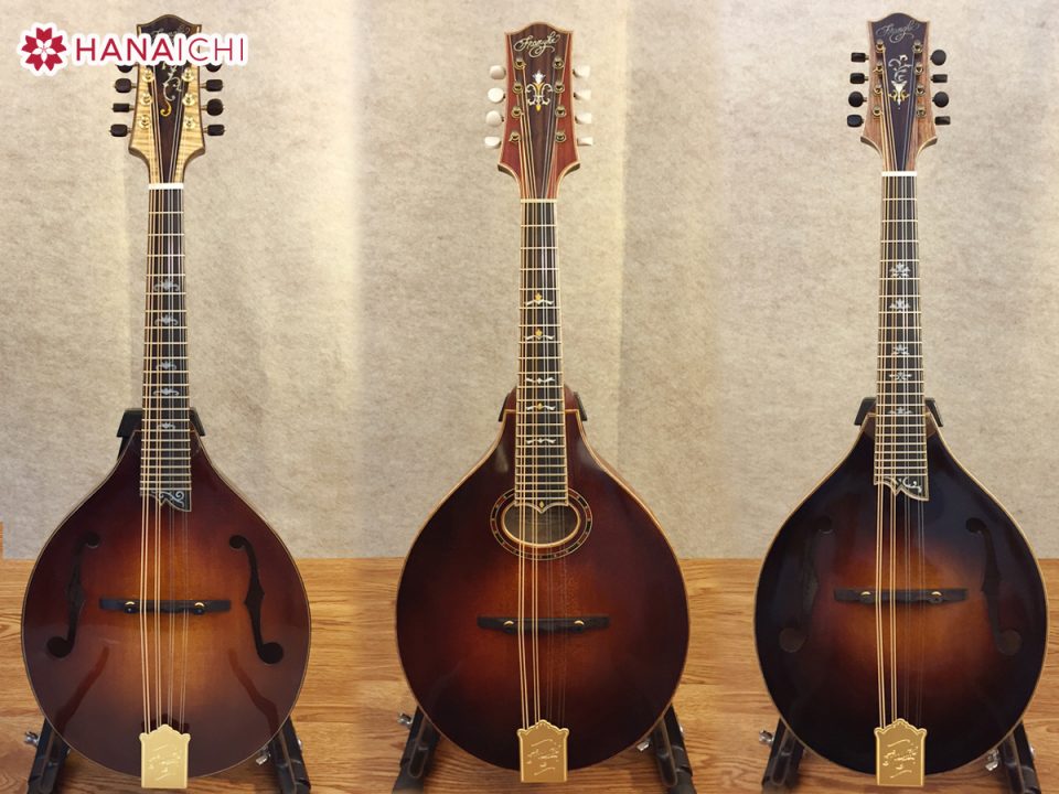Đàn Mandolin và những điều cần biết
