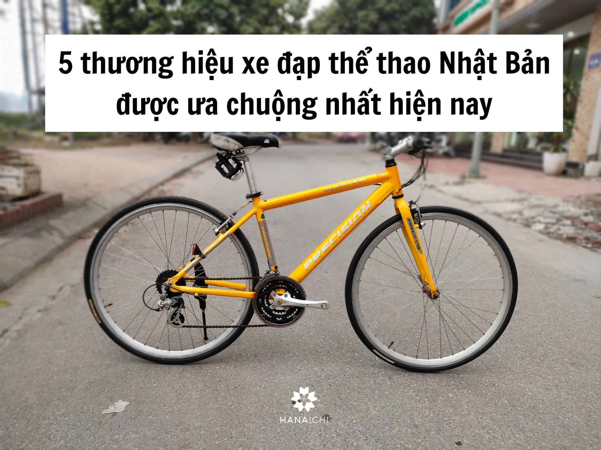 5 thương hiệu xe đạp thể thao Nhật Bản tốt nhất hiện nay
